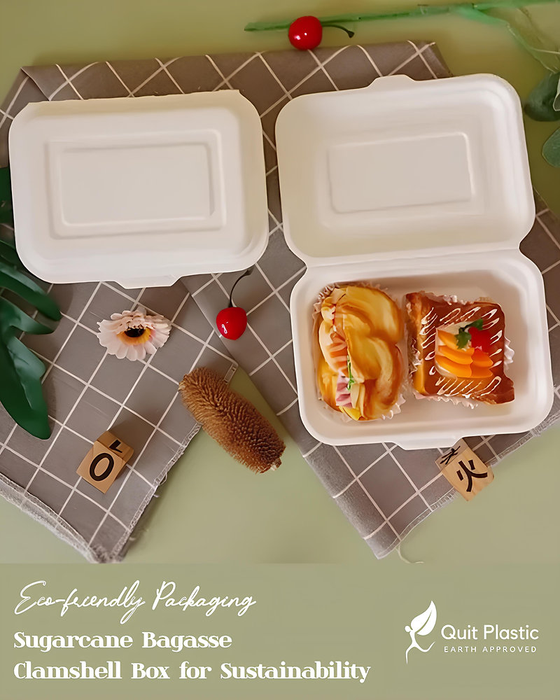 Eco-friendly Sugarcane Bagasse Clamshell Bento Takeaway Boxes: A ...