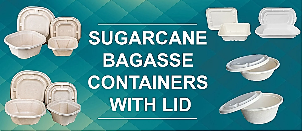 Eco-Friendly Food Containers: A Sustainable Choice for Takeaway and ...