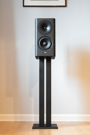 CDM65 | Mesanovic Microphones