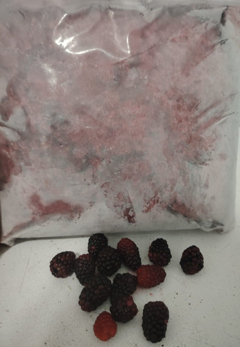 Pulpa de mora con semilla Kg | Famesur