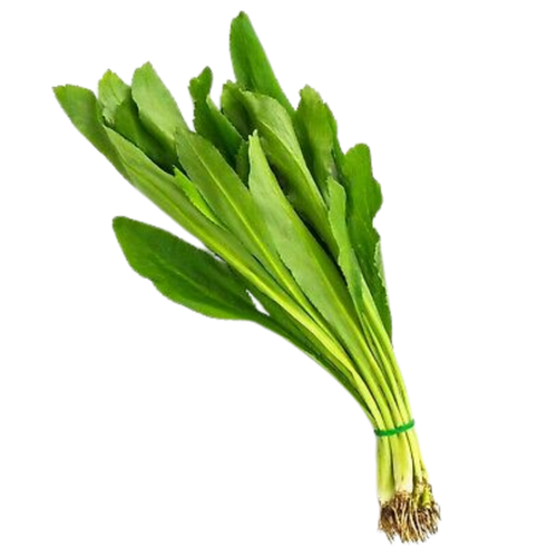 Culantro coyote, rollo | Famesur