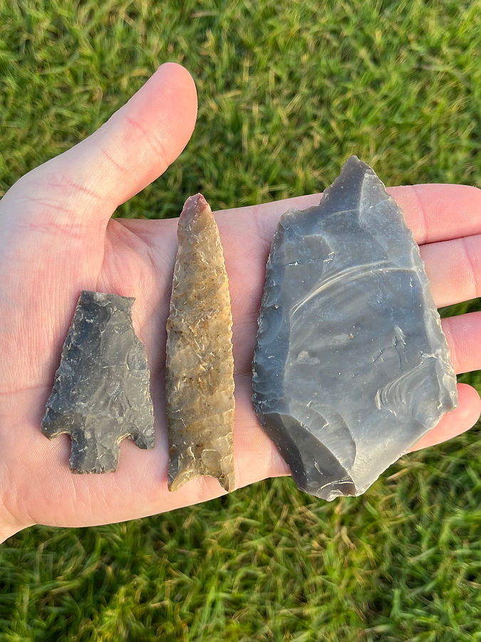 Book Dig Now | GT's Digs