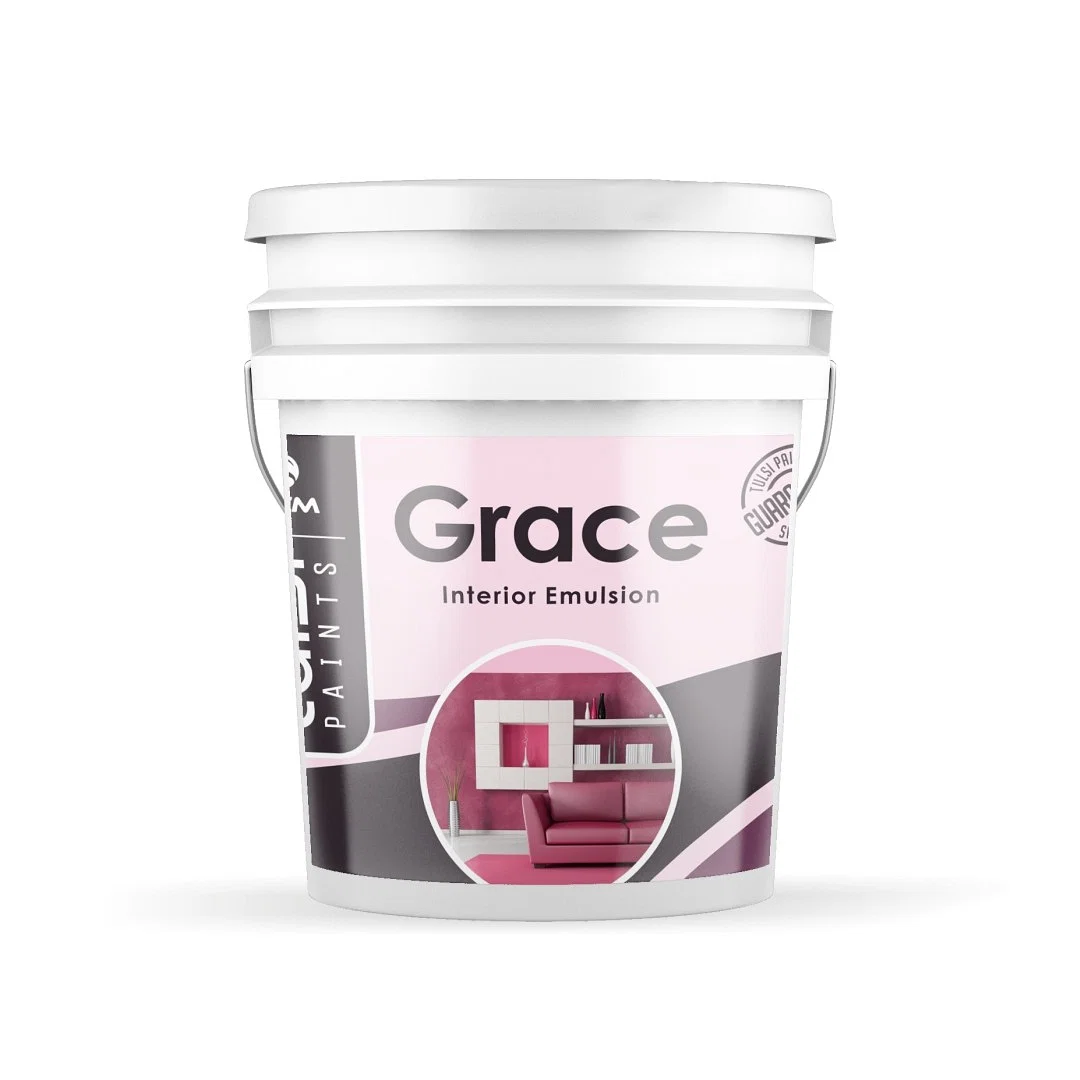 Paint & Contruction