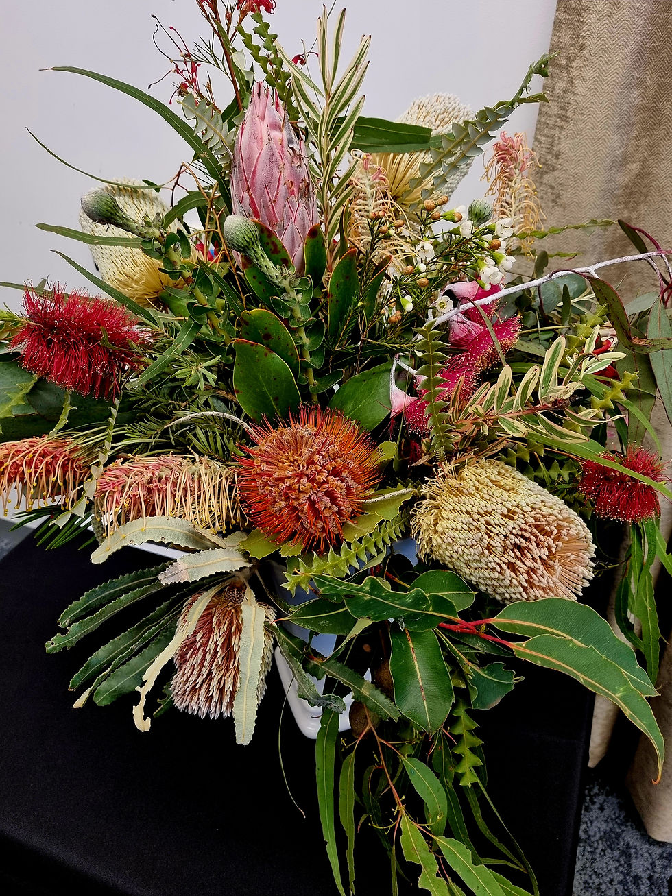 Private Events | Retravision Stadium