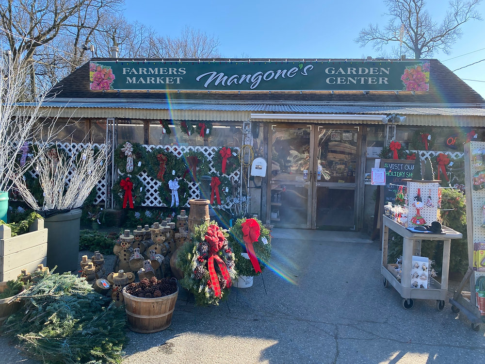 Mangone’s – The Family Behind the Market