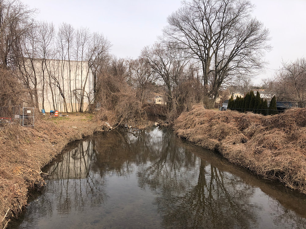Flood Mitigation Update