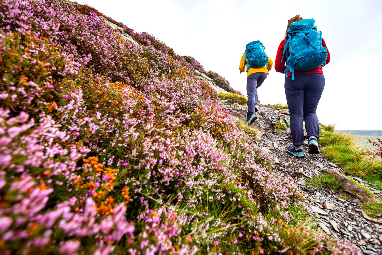 Hill and Mountain | Esther Foster | Lake District