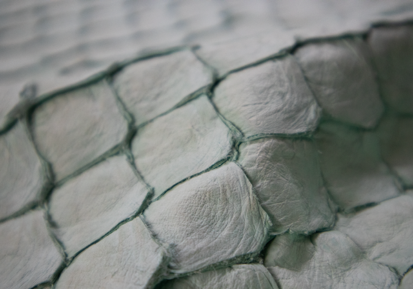 PIRARUCU LEATHER - Nova Kaeru | Global Green