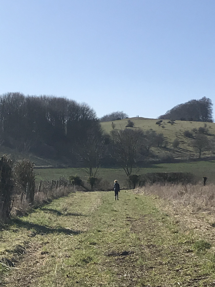 Visiting Danebury Hill Fort in Hampshire