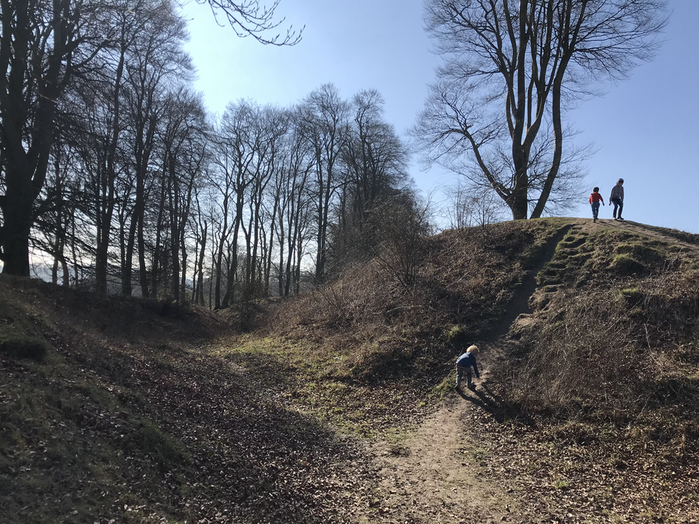 Visiting Danebury Hill Fort in Hampshire