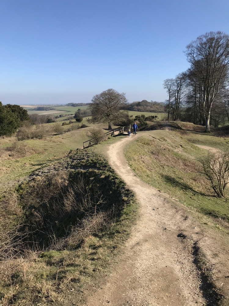 Visiting Danebury Hill Fort in Hampshire