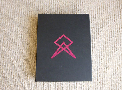 Protector LE | vectrex-guide