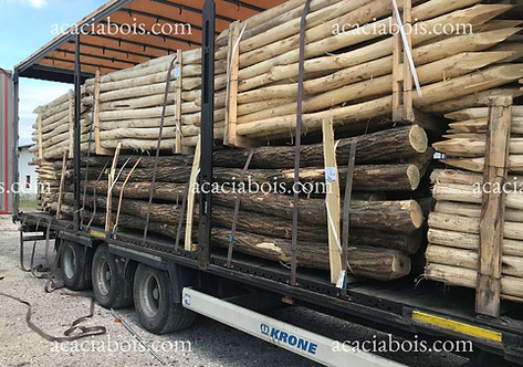 Acacia Poles - Products