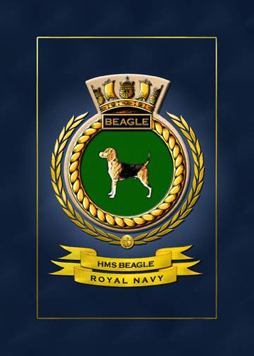 HMS BEAGLE - SHIPS CREST | JACKS TAXI