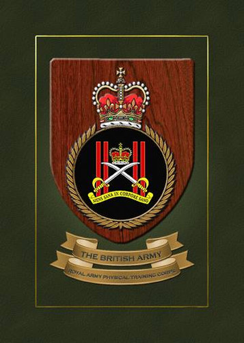 THE ARMY - REGIMENT CREST Royal Army Physical Training Corps | JACKS TAXI