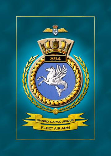 894 SQUADRON - CREST | JACKS TAXI