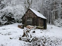 Broadstone Warren Service Team