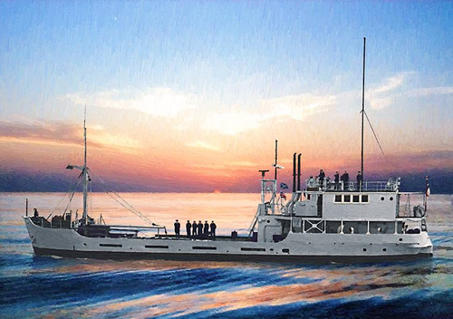 HMAS PALUMA "First Lady Of The Fleet" | JACKS TAXI