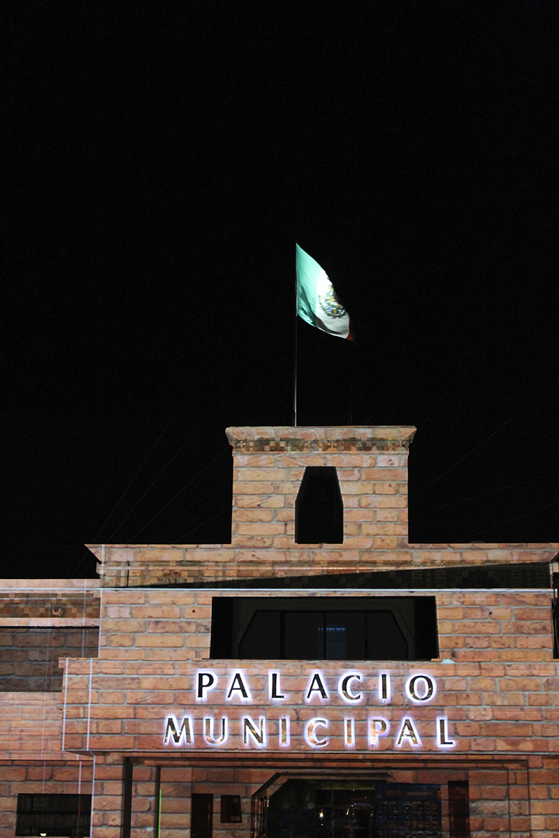 Galería | simply-professional