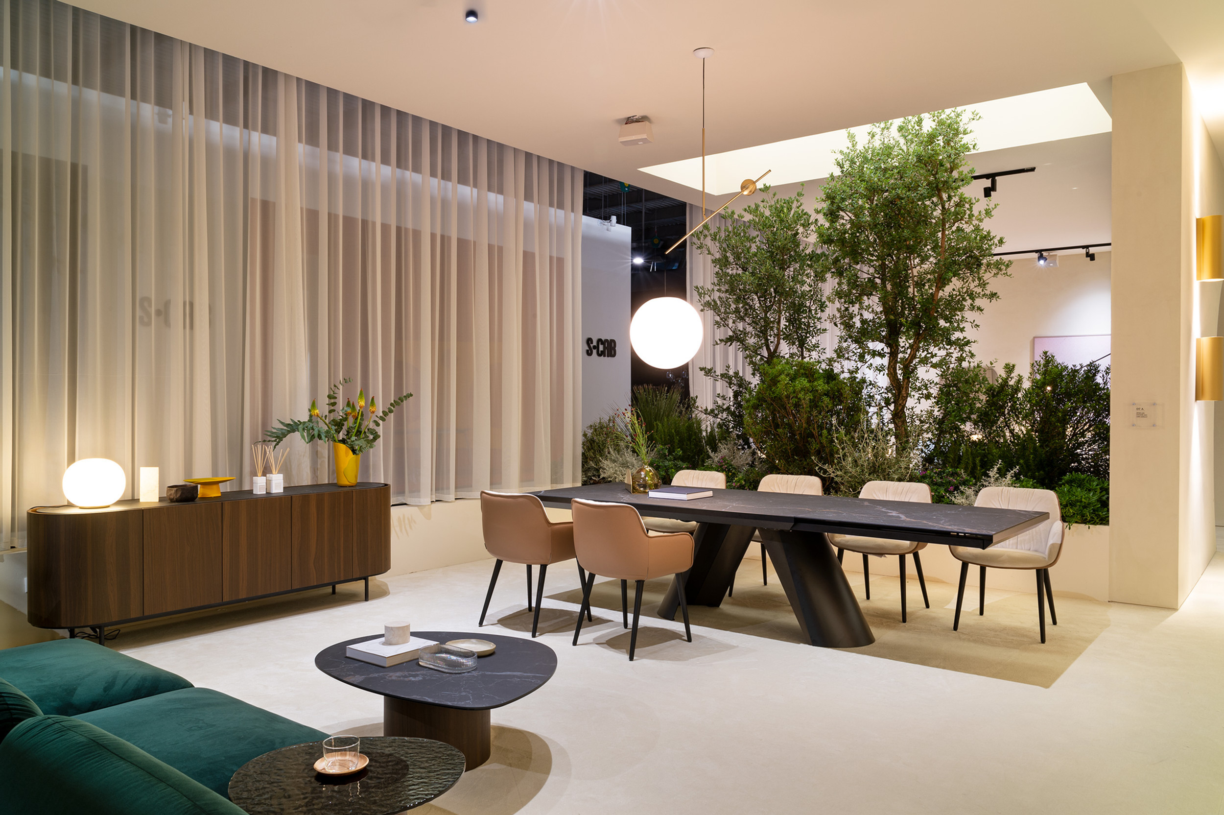 דף הבית | Turgeman