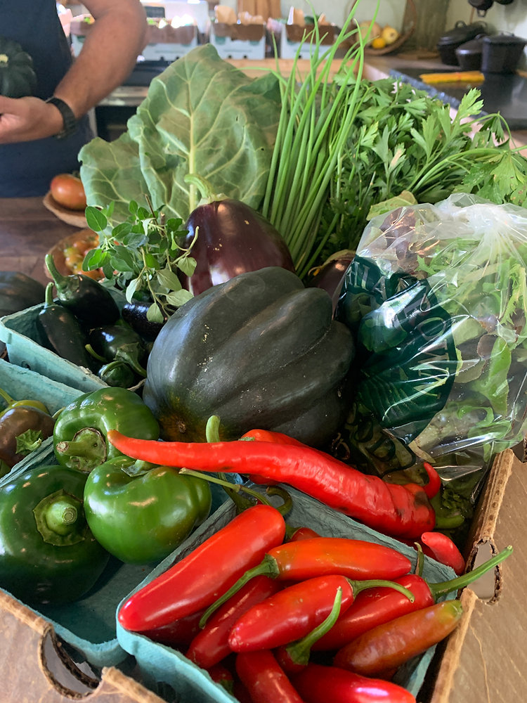 5 Reasons to Eat Local This Fall – Featuring Arrows Farm Veggie Box and ...