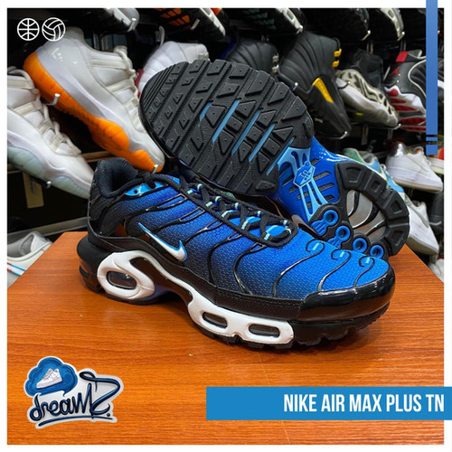 Nike Air Max Plus GS "Aquarius Blue" | Dreamz