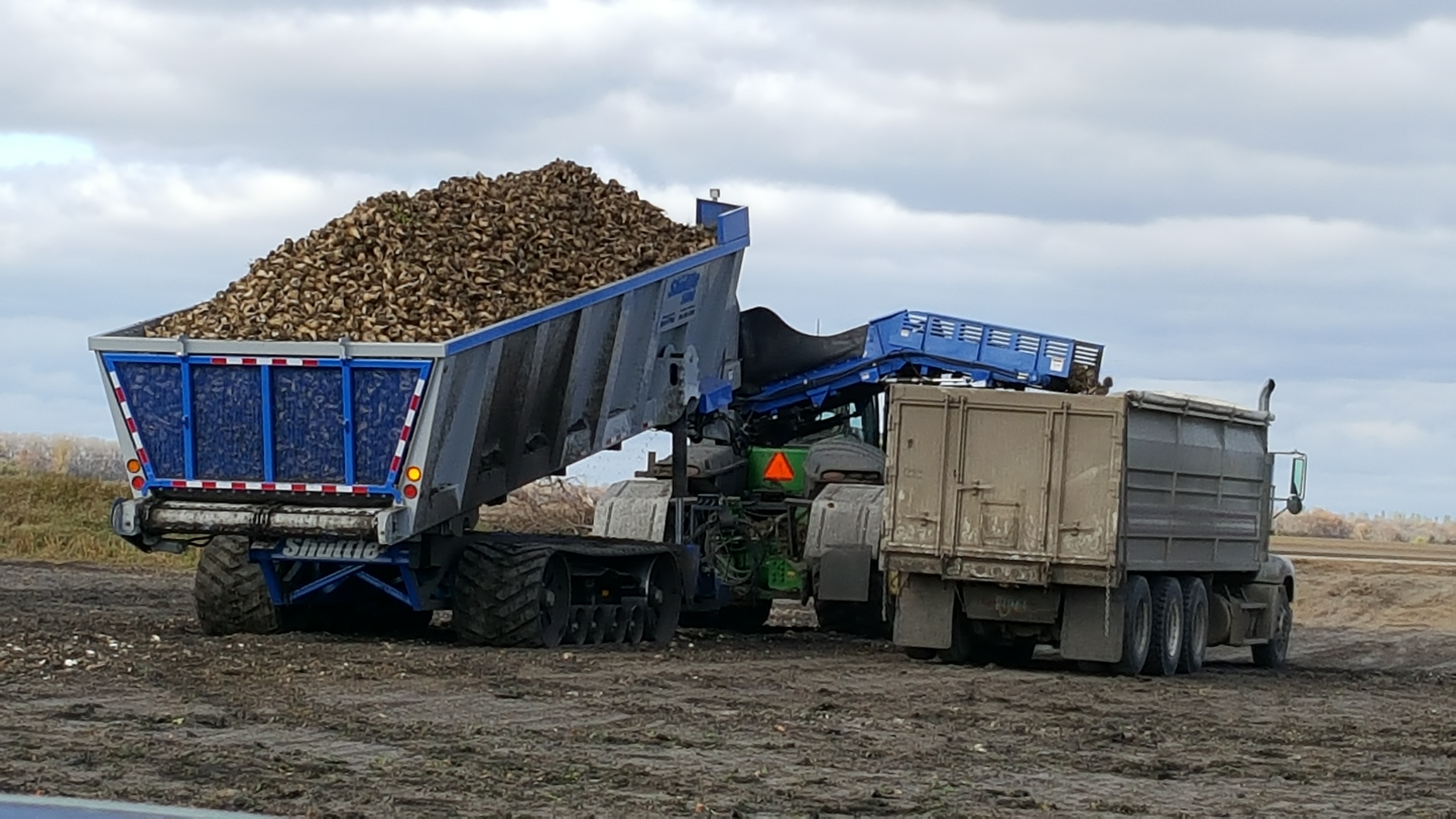Crop Shuttle - Crop Cart - Park River, ND