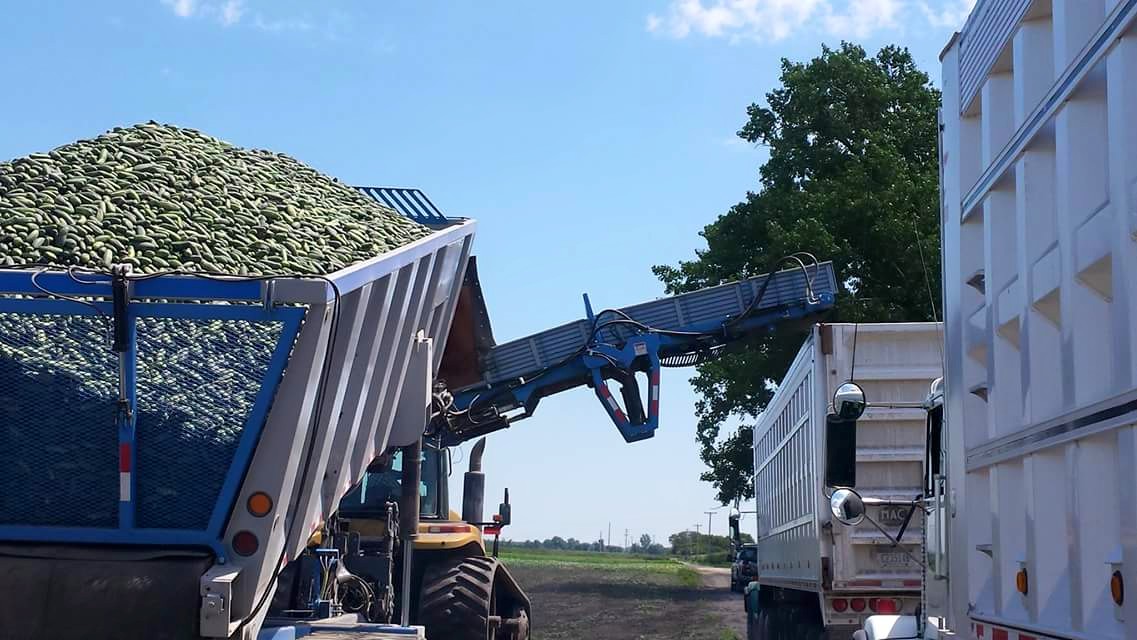 Crop Shuttle - Crop Cart - Park River, ND