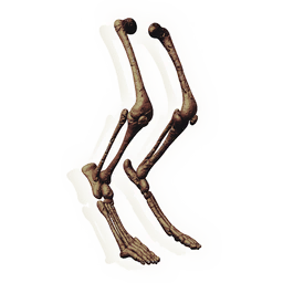 Swift Leg Bones | NoMan'sSky Resources