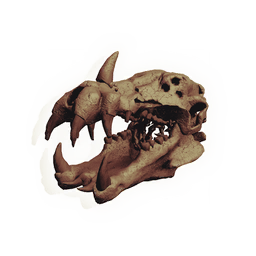 Leviathan Skull | NoMan'sSky Resources