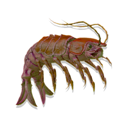Jelly Prawn | No Man's Sky Resources
