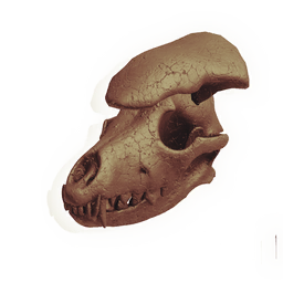 Scavenger Skull | NoMan'sSky Resources