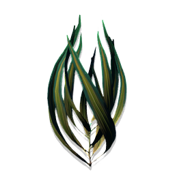 Tangleweed | No Man's Sky Resources