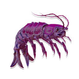 Metallic Shrimp | No Man's Sky Resources