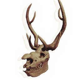 Behemoth Skull | NoMan'sSky Resources