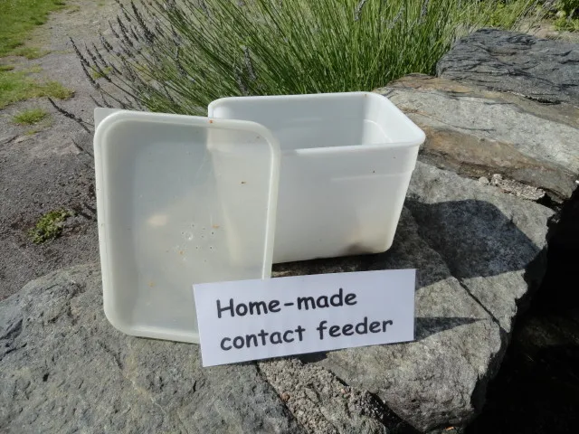 Feeding Bees | Roe Valley Beekeeper