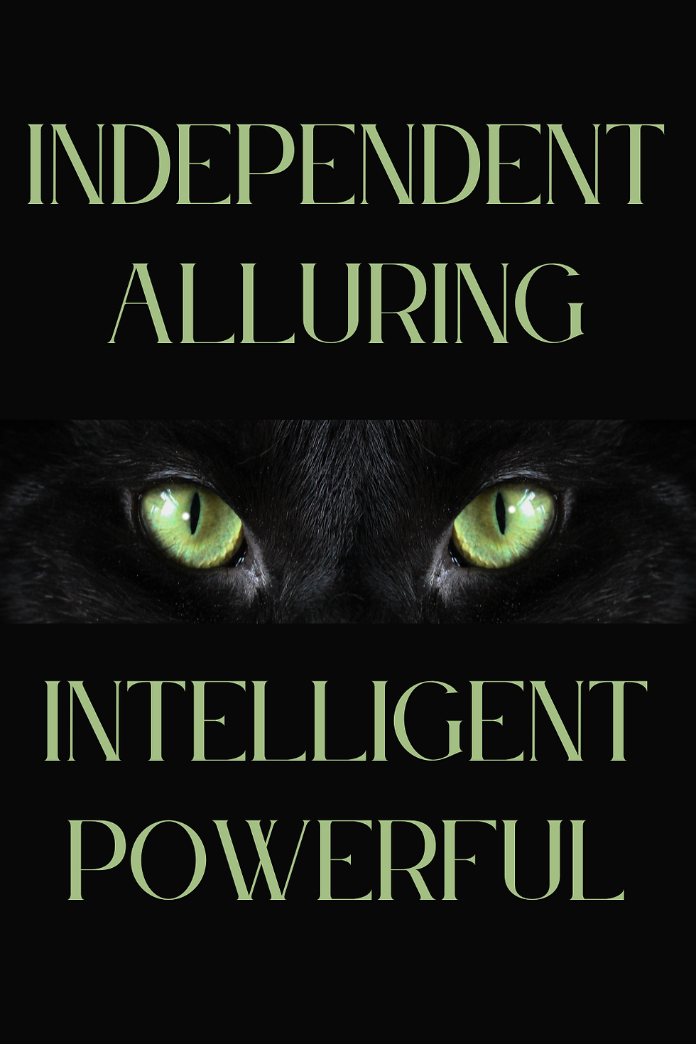 The 4 Core Principles Of Black Cat Energy