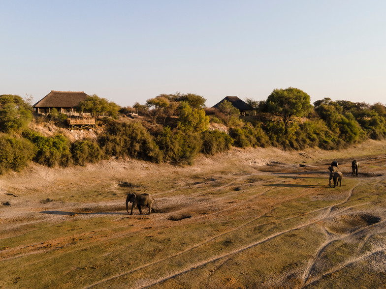 Accommodation | Moela | Safari Lodge | Luxury Wildlife Safaris