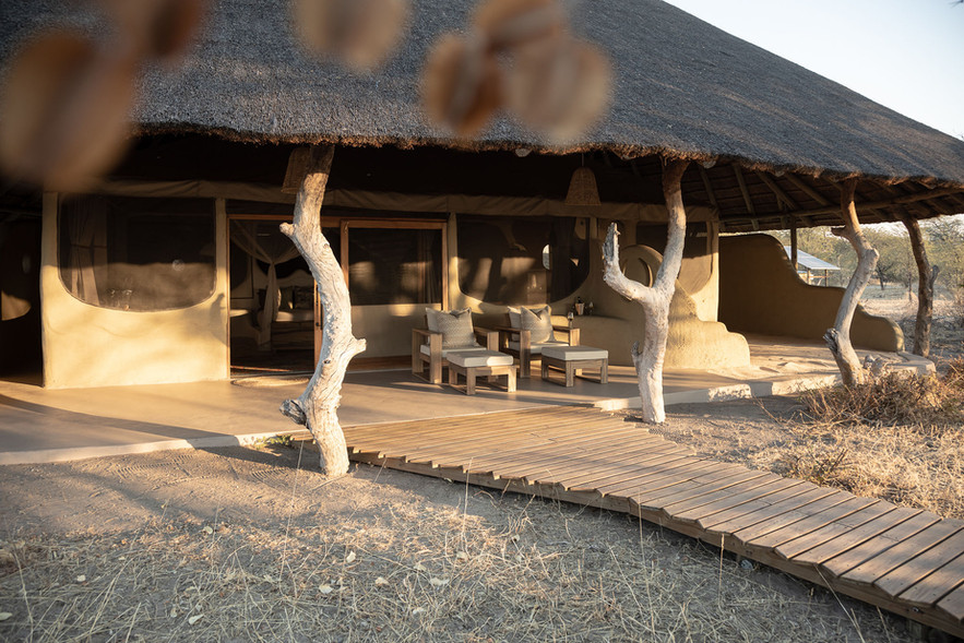Accommodation | Moela | Safari Lodge | Luxury Wildlife Safaris
