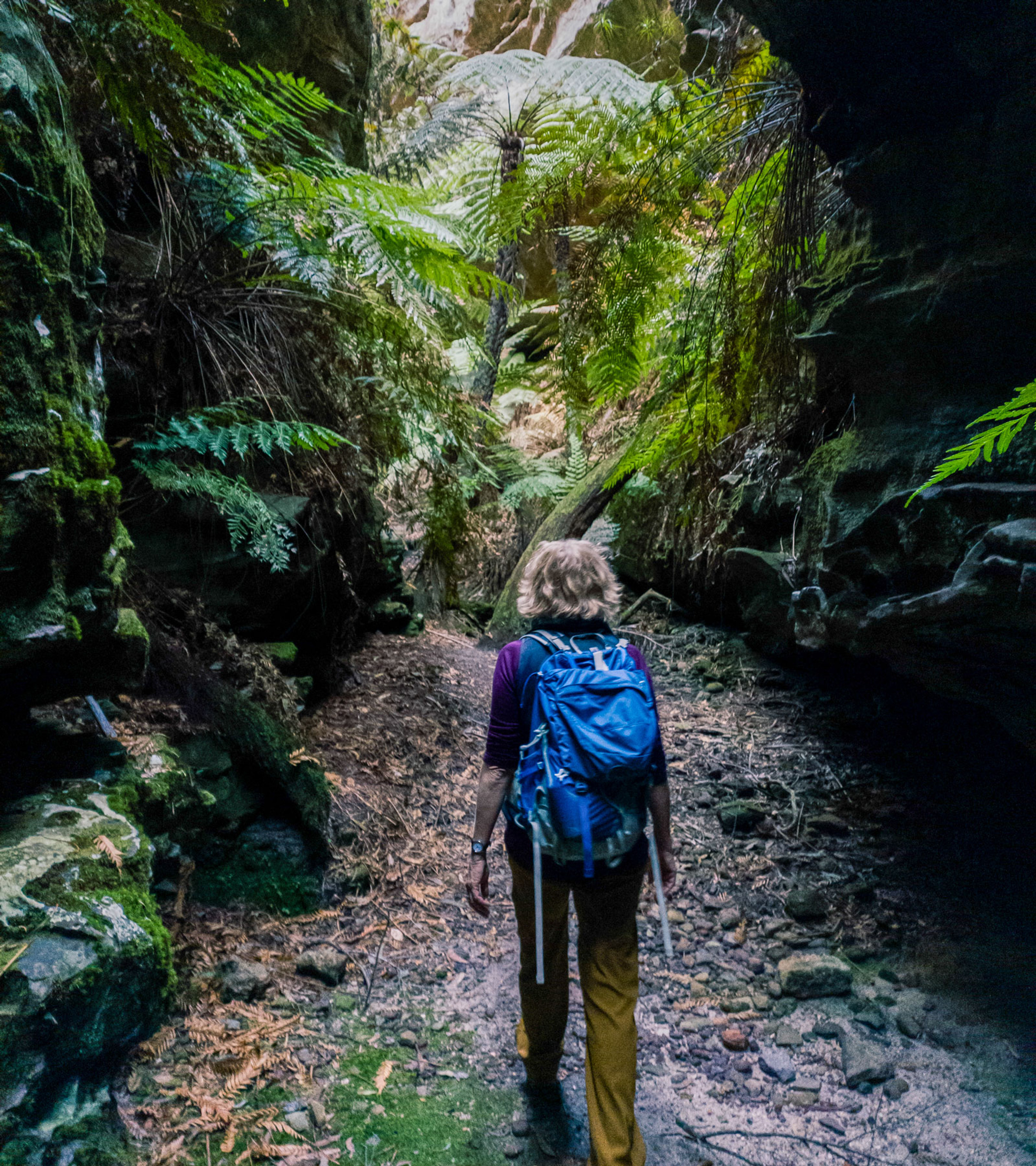 Walks & Lookouts | Bells Line of Road