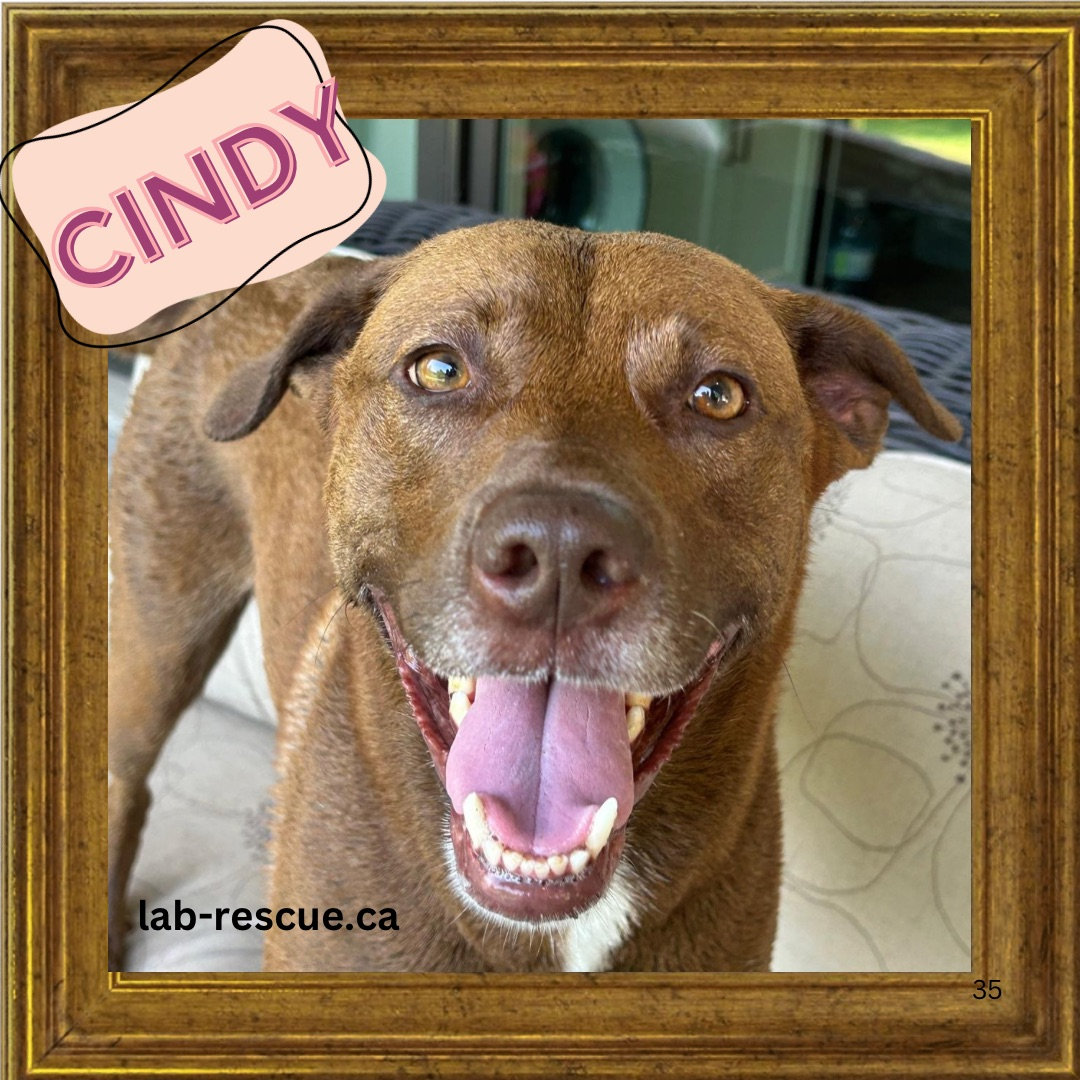 Cindy