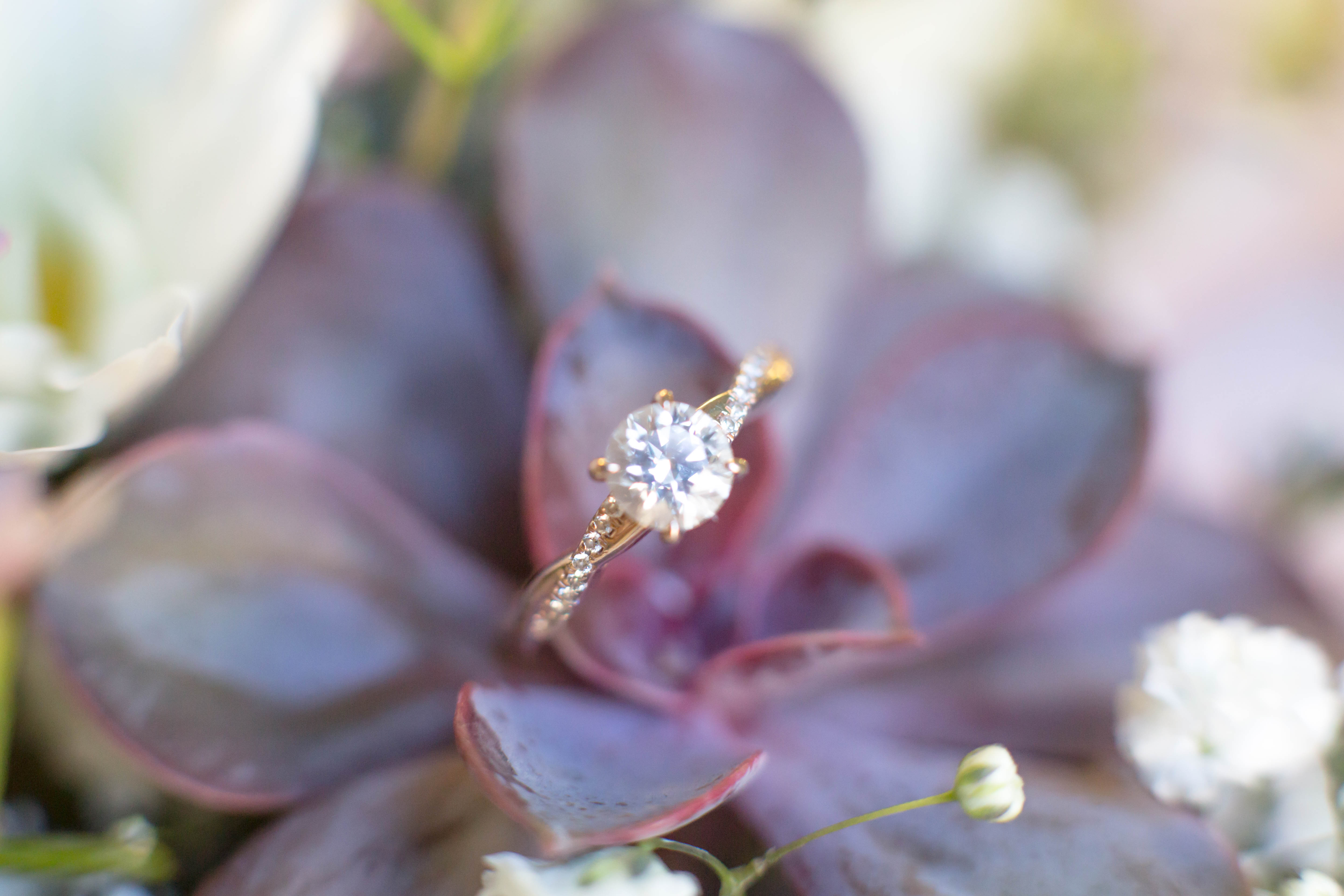 Virginia Photographer | Peper Love Photography