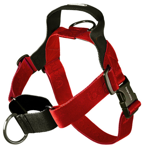 Martingale Harness - Red | Boondog Australia