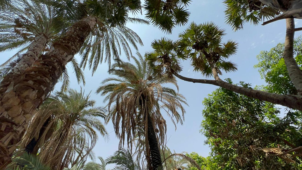 Discovering Egypt's Untapped Beauty: Behind the Scenes of "Kemet ...