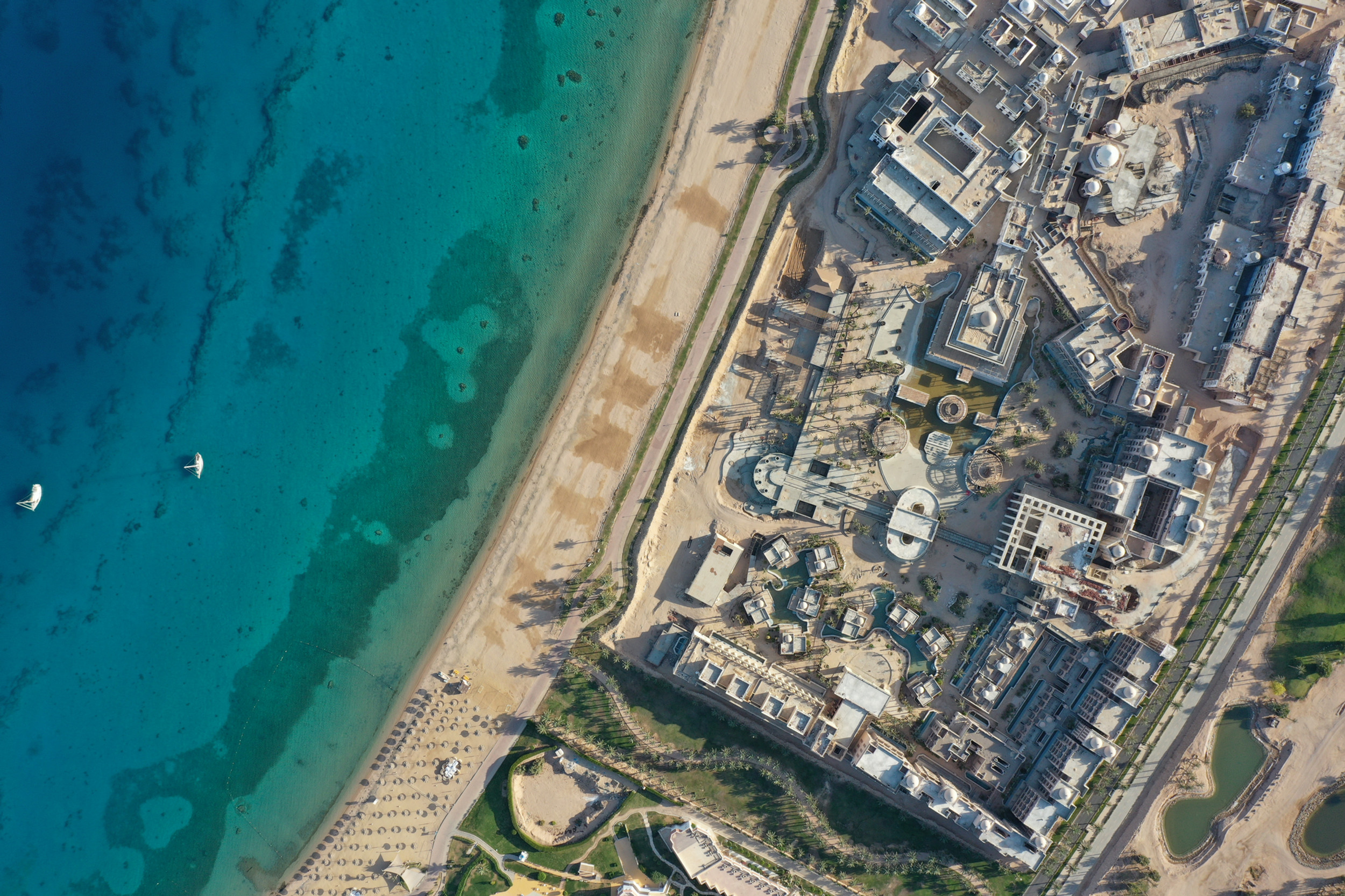 Live Red Sea | Investment