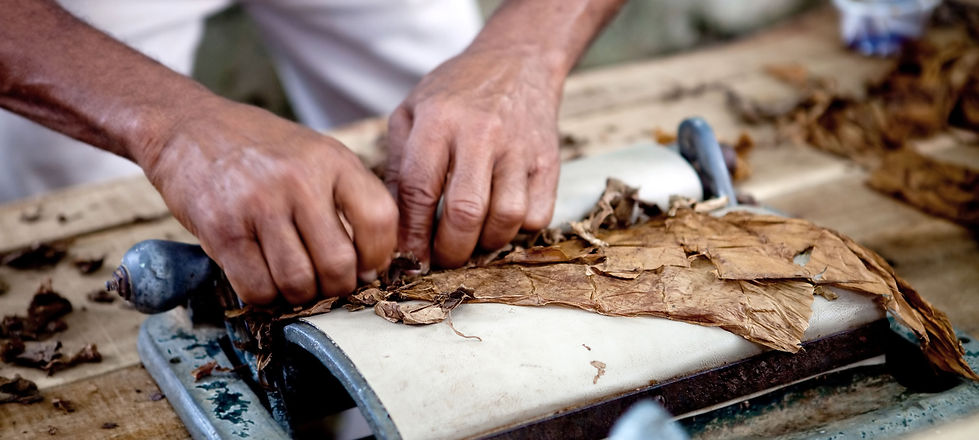 Artesanos Cigars | Costa Rican cigars, Playas del Coco