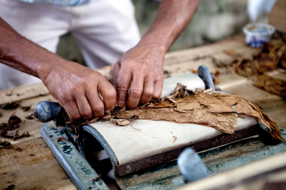 What is Inside a Cigar
