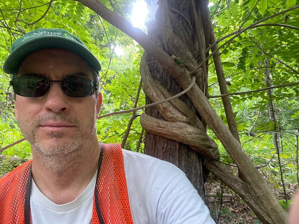 Make your day: Rescue a tree