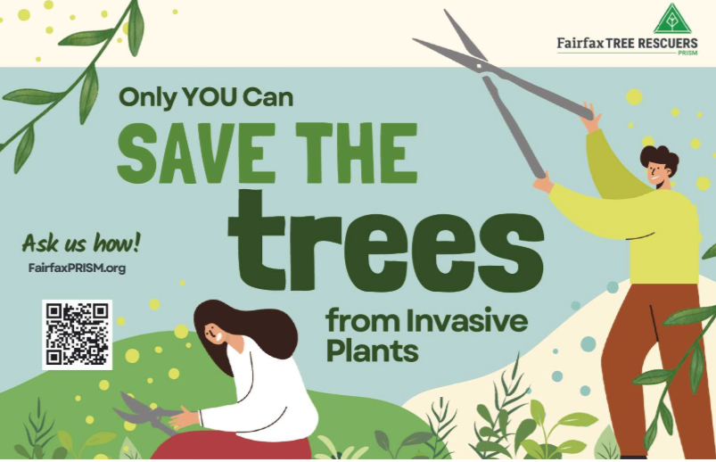 Only YOU can save our trees!