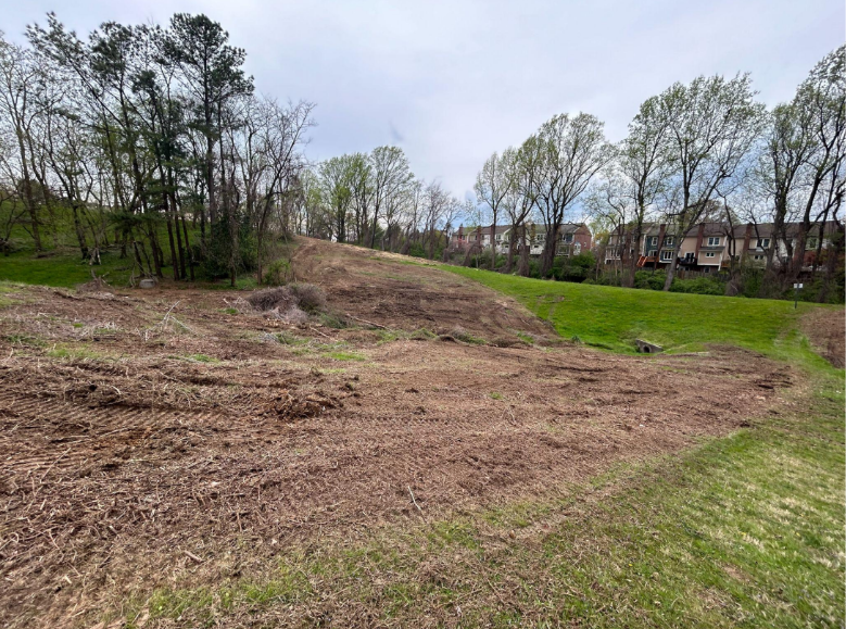 Community Invasive removal examples | My Site